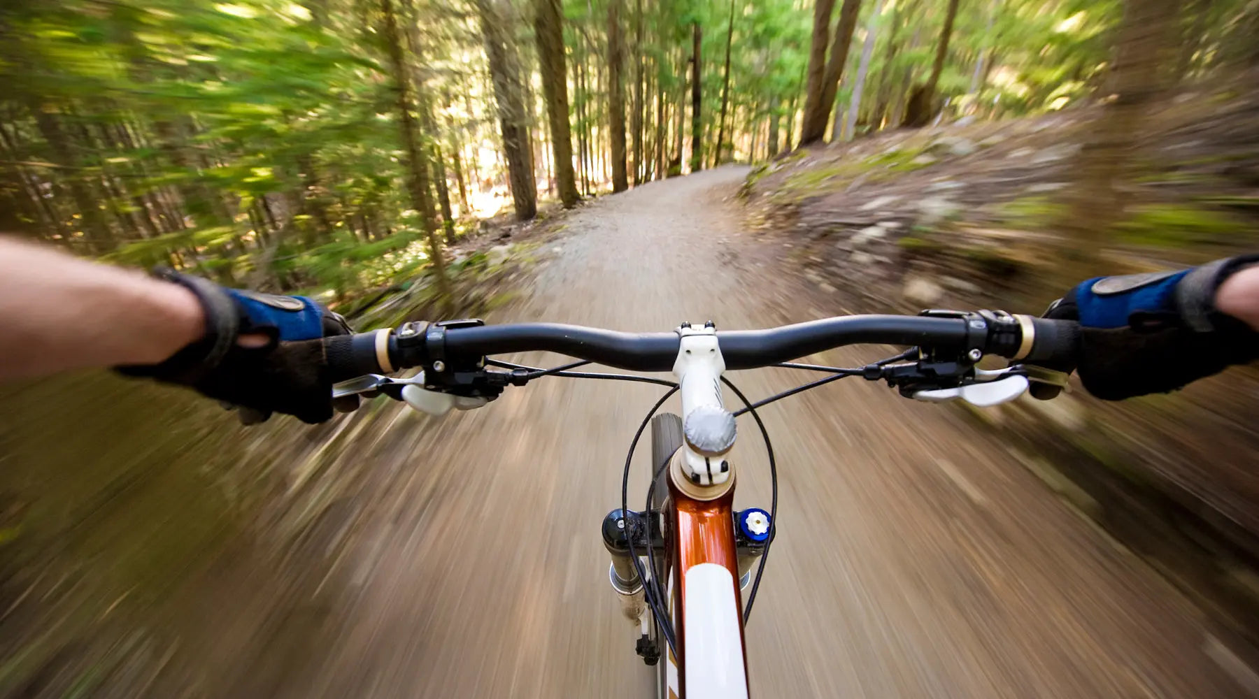 Thompson Bikes – Thompson bike